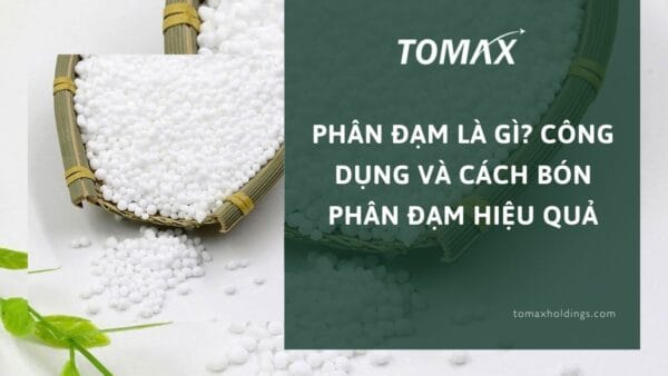 Phân đạm là gì? Công dụng và cách bón phân đạm hiệu quả